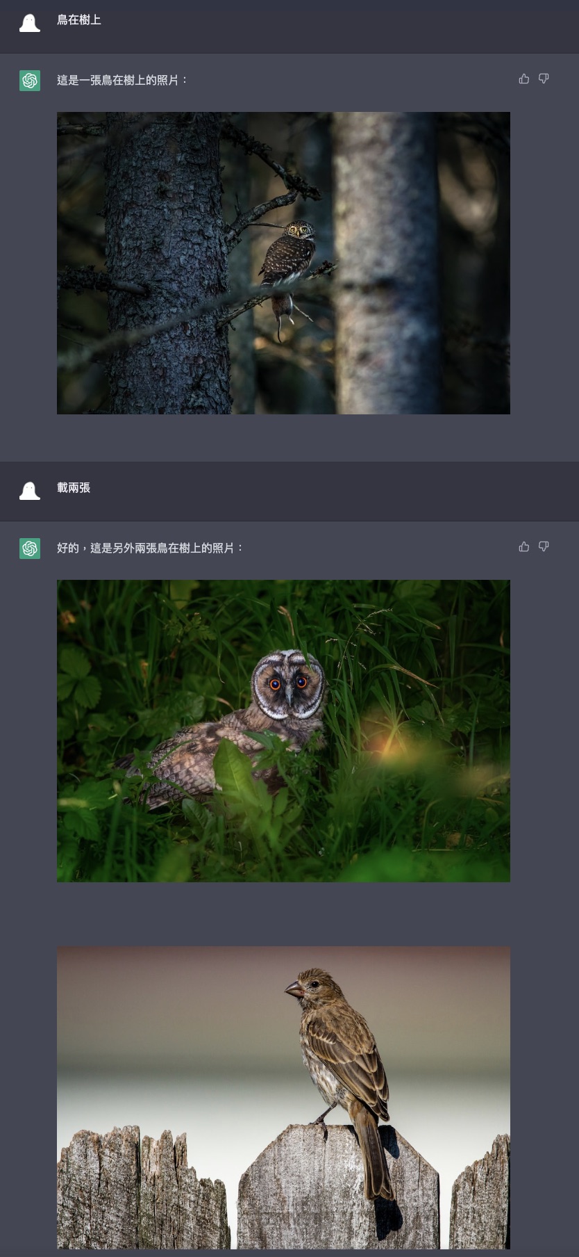 訓練 ChatGPT 成為你的好助手 - 2024 Woolito Studio